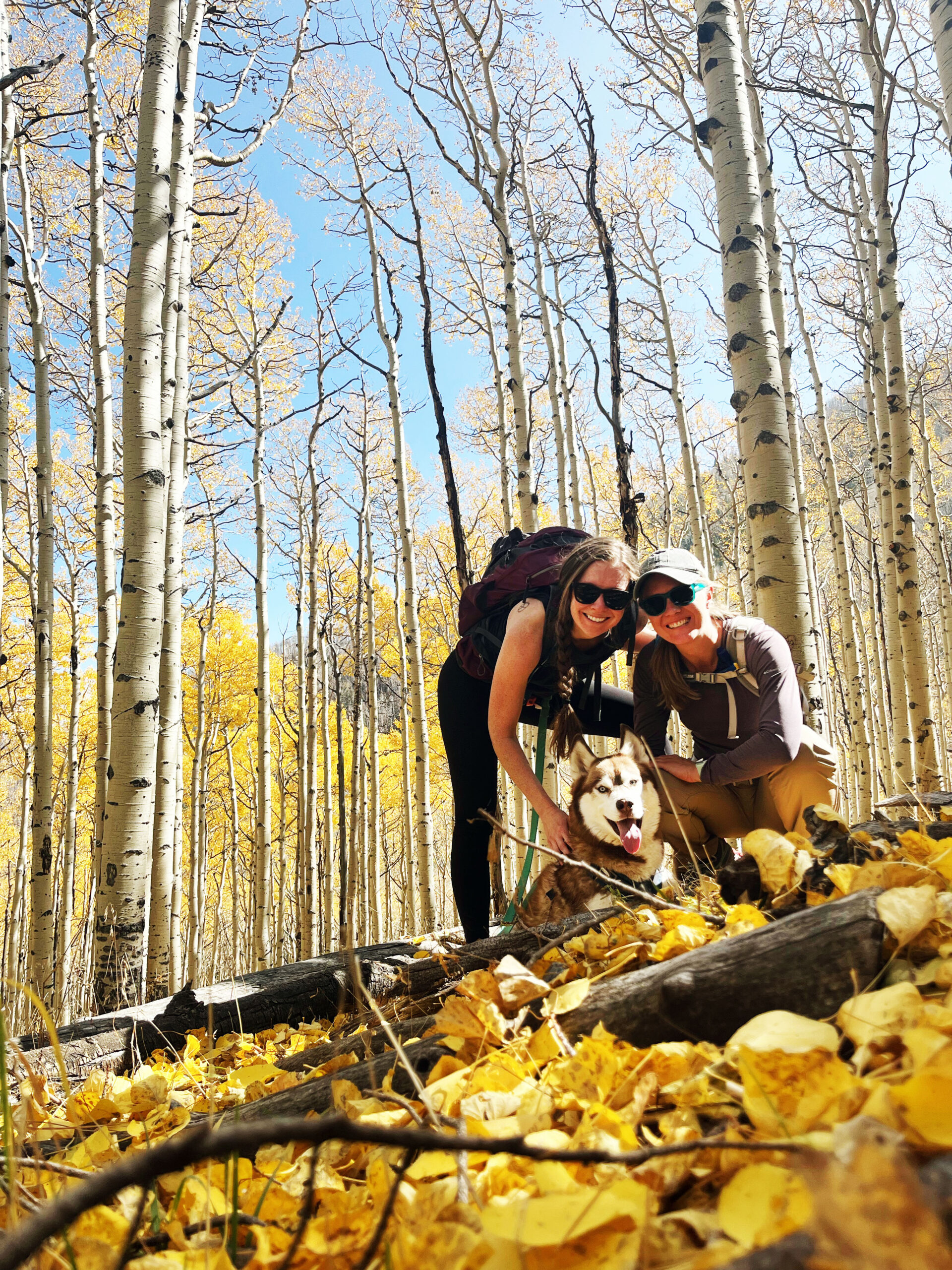 Another Flagstaff fall in the aspens · Randi with an i